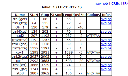MITOS|线粒体在线注释网站-CSDN博客