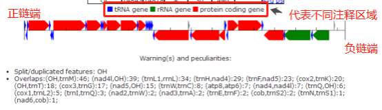 MITOS|线粒体在线注释网站-CSDN博客