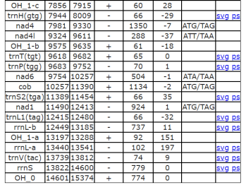 MITOS|线粒体在线注释网站-CSDN博客