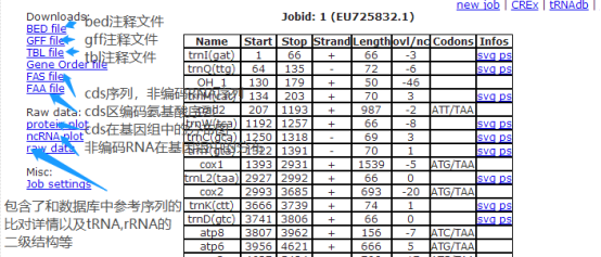 MITOS|线粒体在线注释网站-CSDN博客