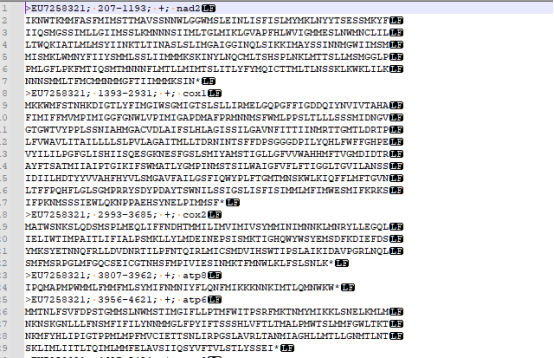 MITOS|线粒体在线注释网站-CSDN博客