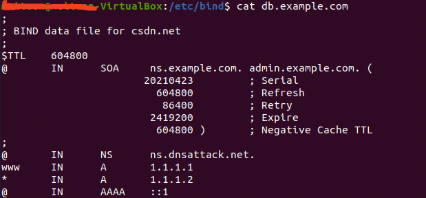 漏洞复现：DNS 缓存投毒的经典—— 2008年 kaminsky 漏洞_使用python实现kaminsky攻击-CSDN博客