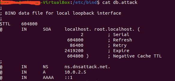 漏洞复现：DNS 缓存投毒的经典—— 2008年 kaminsky 漏洞_使用python实现kaminsky攻击-CSDN博客