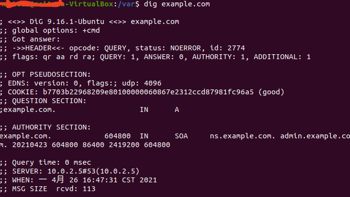 漏洞复现：DNS 缓存投毒的经典—— 2008年 kaminsky 漏洞_使用python实现kaminsky攻击-CSDN博客