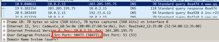 漏洞复现：DNS 缓存投毒的经典—— 2008年 kaminsky 漏洞_使用python实现kaminsky攻击-CSDN博客