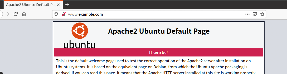漏洞复现：DNS 缓存投毒的经典—— 2008年 kaminsky 漏洞_使用python实现kaminsky攻击-CSDN博客
