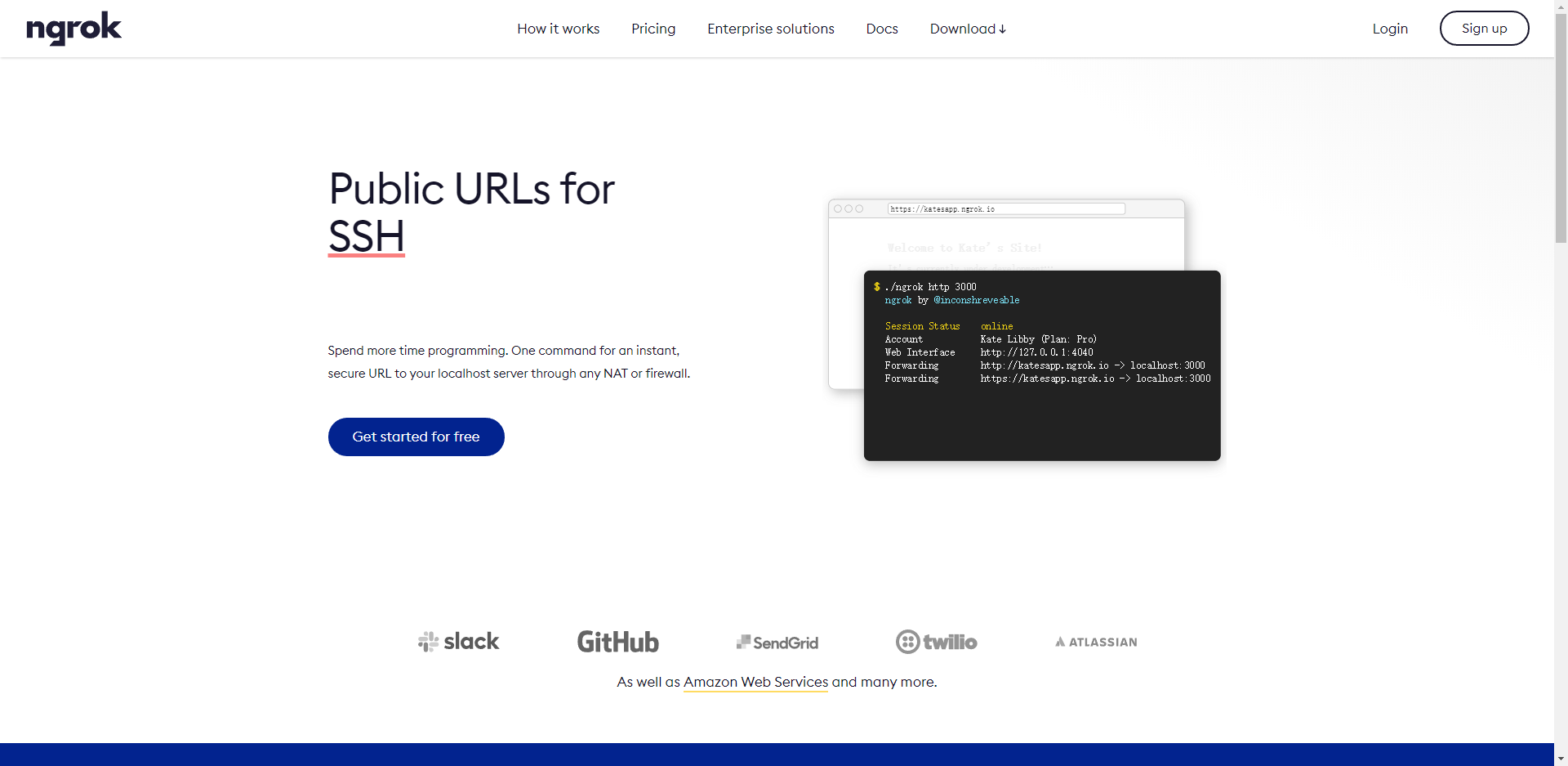 Ngrok内网穿透_java8-ngrok-CSDN博客