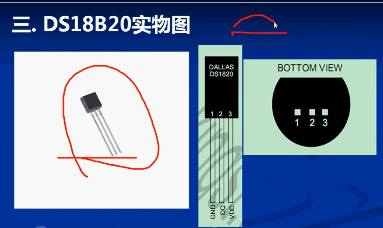 51单片机~DS18B20温度传感器_51单片机ds18b20温度传感器连接线-CSDN博客