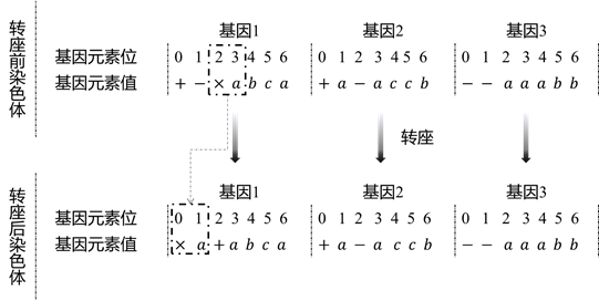 零基础入门进化算法（gep）mogep算法 Csdn博客 