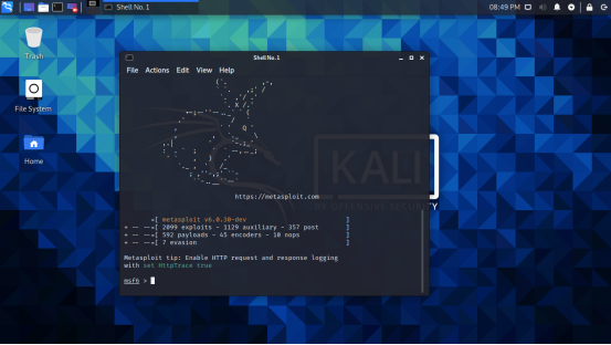 Kali Linux2021.1安装详细教程_kali2021.1虚拟机安装教程-CSDN博客