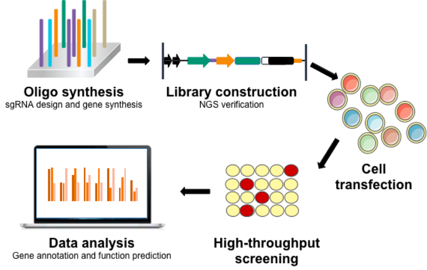 CRISPR验证分析_怎么看crispr direct结果-CSDN博客