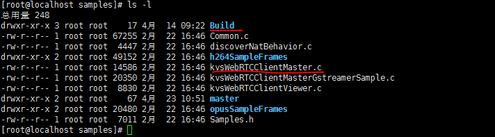AWS KVS(Kinesis Video Streams)之WebRTC集成过程报错问题整理（七）_亚马逊aws video csdn-CSDN博客