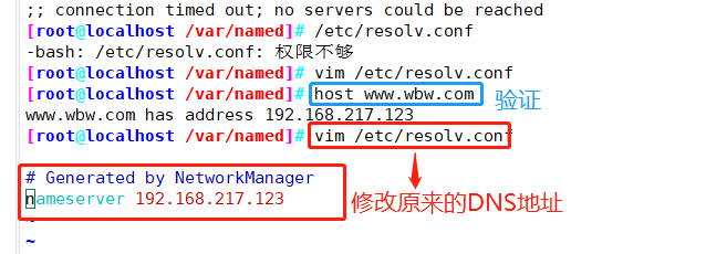 配置DNS实验（全）-CSDN博客