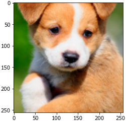 pytorch中torchvision模块下ImageFolder的简单理解与实际运用_imagefolder' object 索引-CSDN博客