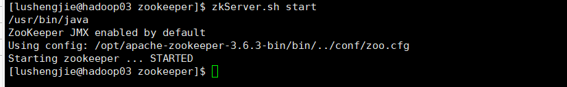 启动zookeeper时提示zookeeper_server.pid: 权限不够_zkserver.sh start权限不够-CSDN博客