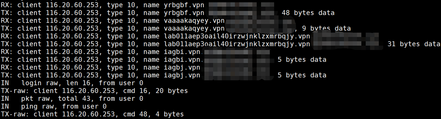 DNS隧道技术_如何在两台内网机器搭建dnscat隧道-CSDN博客