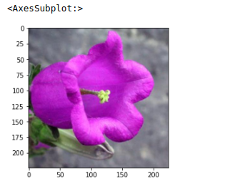 pytorch学习之基于resnet训练flower图像分类模型_flower data-CSDN博客