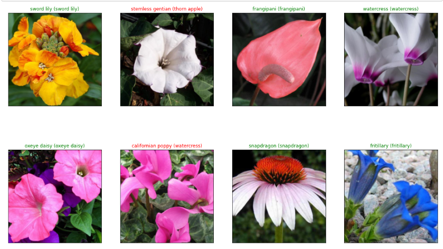 pytorch学习之基于resnet训练flower图像分类模型_flower data-CSDN博客