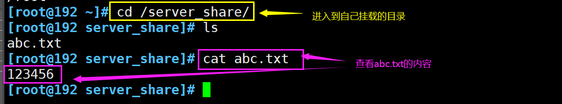 局域网中超好用的NFS共享存储服务技术！磁盘与硬件的双重节约，你学会了吗_共享存储主机硬件-CSDN博客