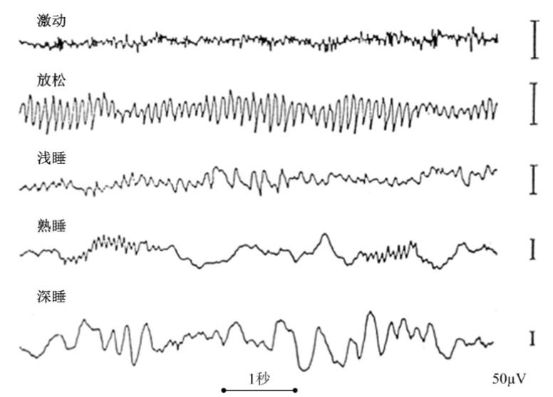 深入理解短时傅里叶变换 STFT + Python 代码详解_stft python-CSDN博客