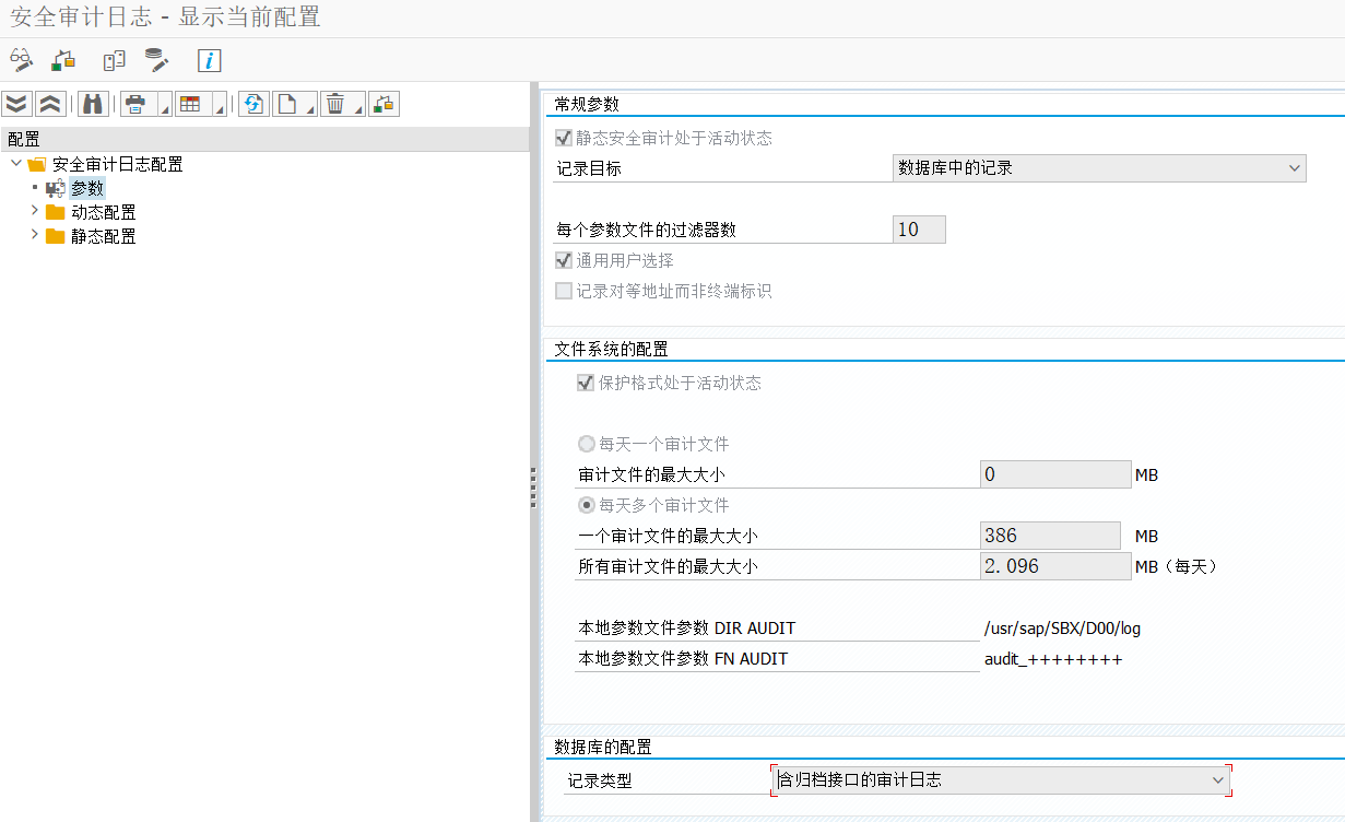 SAP 审计安全性配置_sap服务器下載-CSDN博客