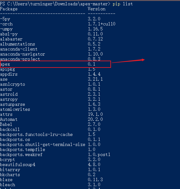 【python】【深度学习】apex的安装_python apex-CSDN博客