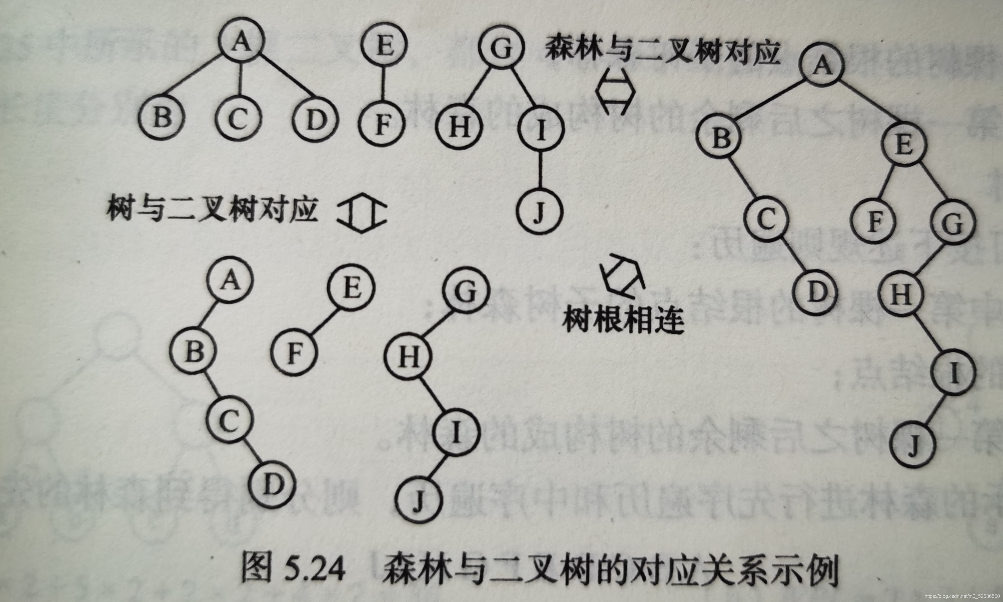 【数据结构与算法】数和二叉树基础题目练习详解nn 大于 1个结点的各棵树中其深度最小的那棵树的深度是1。它共有2个