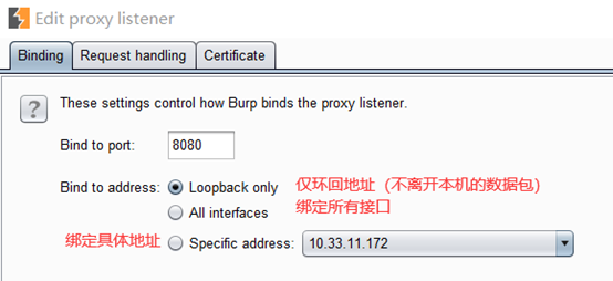 burpsuite模块详解_burpsuite模块说明-CSDN博客