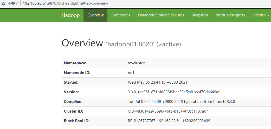 Apache Hadoop 3.x高可用集群部署_apache hadoop部署-CSDN博客