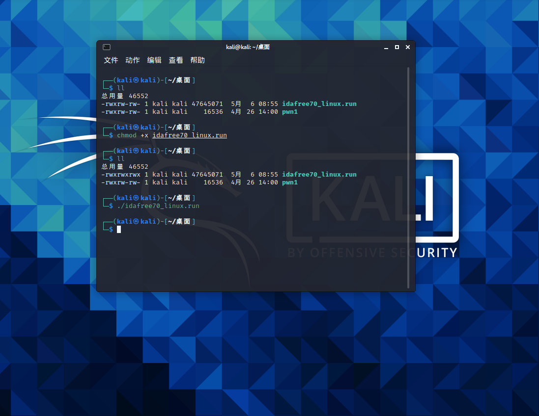 kali安装ida_kali ida-CSDN博客