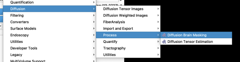 Li‘s 核磁共振影像数据处理-4-使用3D Slicer从DTI计算参数图（FA、ADC等）_3d slicer提取fa-CSDN博客
