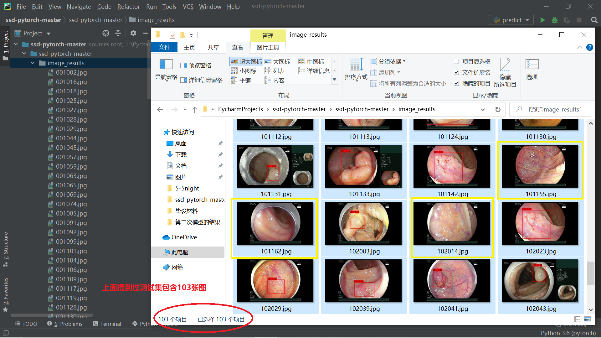 目标检测(五)：用个人数据集实现SSD-Pytorch的训练与预测_在ssd目标检测基础上加分类预测-CSDN博客