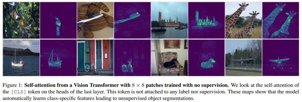 Emerging Properties in Self-Supervised Vision Transformers(2021)-CSDN博客