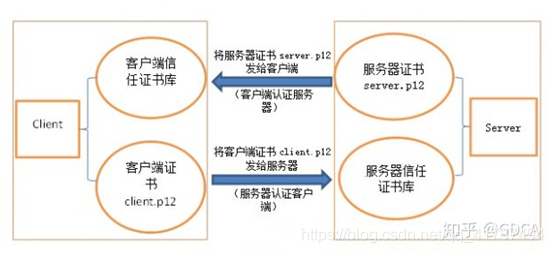Websocket单向认证和双向认证websocket需要ssl证书吗 Csdn博客