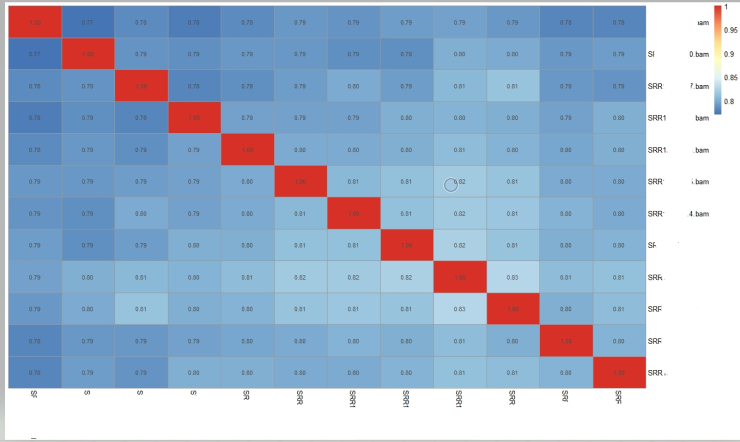 RNA-SEQ下游 绘制相关性热图_rna-seq 热图-CSDN博客