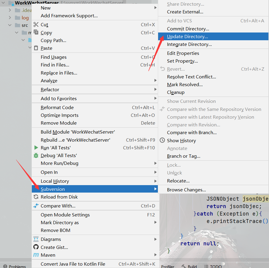 Error:svn: E155004: Run ‘svn cleanup‘ to remove locks (type ‘svn help cleanup‘ for details ...