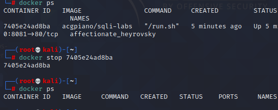 工具使用（kali linux 中 nmap msf cs docker Goby）_kali安装goby-CSDN博客