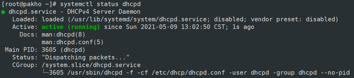 Linux网络服务——DHCP服务器搭建实现IP地址自动分配_dhcp服务器同时分配v4v6地址-CSDN博客