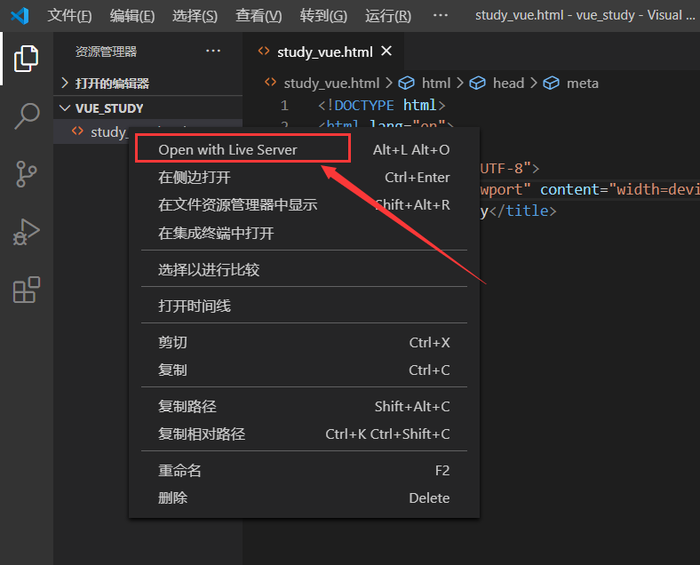 VScode中如何下载使用Live Server插件_live server插件下载-CSDN博客