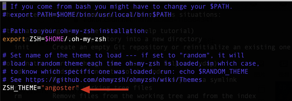 安装oh my zsh，及配置主题和安装插件_修改ohmyzsh主题-CSDN博客
