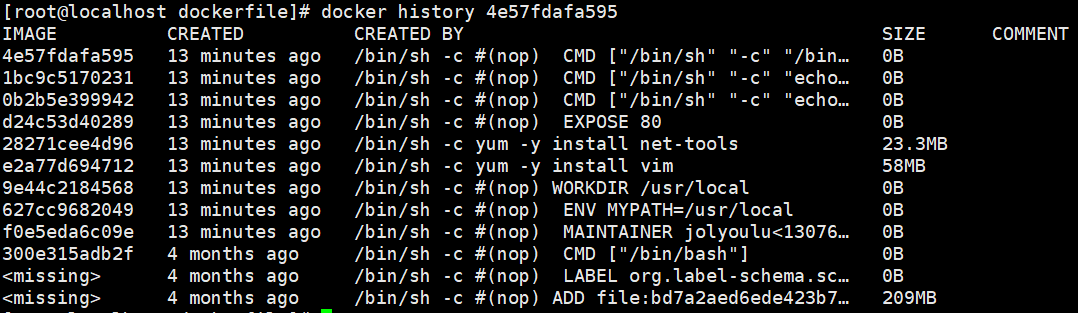 Docker-进阶(DockerFile，自定义镜像发布与拉取)_有了dockerfile是不是可以直接拉取别人的环境-CSDN博客
