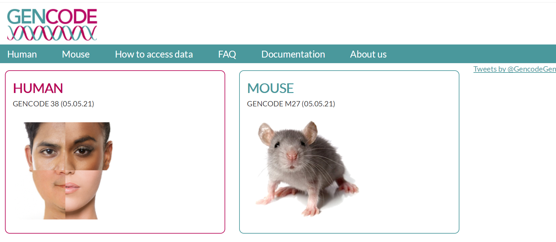 构建index所需的参考基因组以及各种版本的注释文件_hg38.fa chr1.fa-CSDN博客