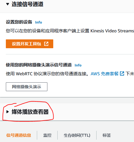 AWS KVS(Kinesis Video Streams)之WebRTC集成过程报错问题整理（八）_webrtc kvs-CSDN博客