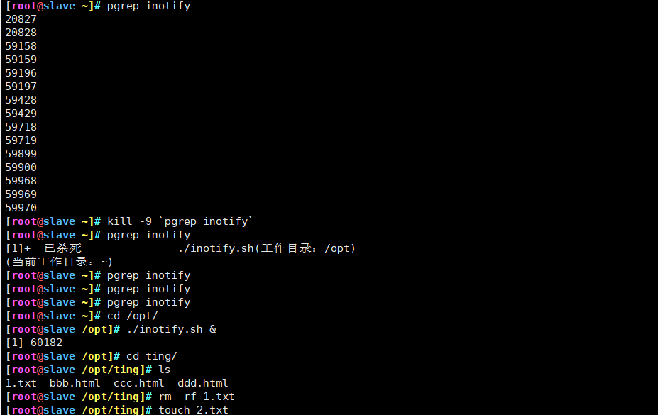 Rsync Error Error Starting Client Server Protocol Code 5 At Mainc1516 Sender309 Csdn博客 