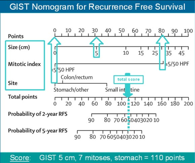 列线图、nomogram到底是什么东西？如何实施？如何解读？_列线图结果解读-CSDN博客