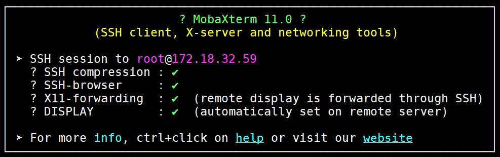 Docker Ssh X11 linux 