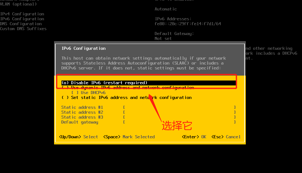 安装基于ESXI6.7的docker容器环境——安装ESXI6.7_esxi docker-CSDN博客