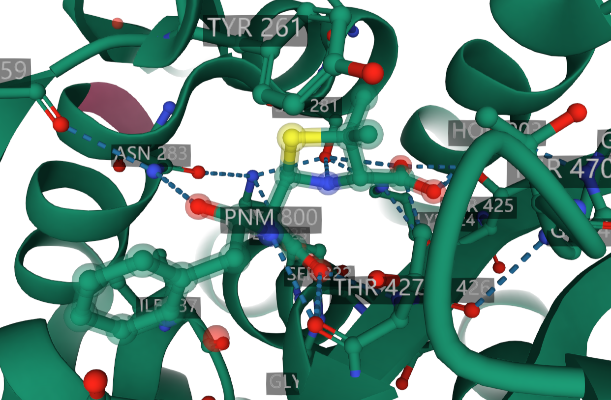 绿原酸酯与CALB Docking(2) - Covalent Docking(3upo案例)_protein pdb pdbqt-CSDN博客