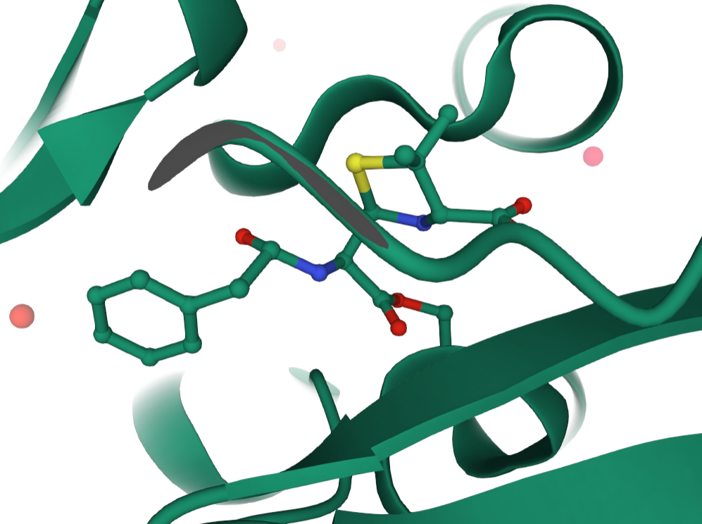 绿原酸酯与CALB Docking(2) - Covalent Docking(3upo案例)_protein pdb pdbqt-CSDN博客